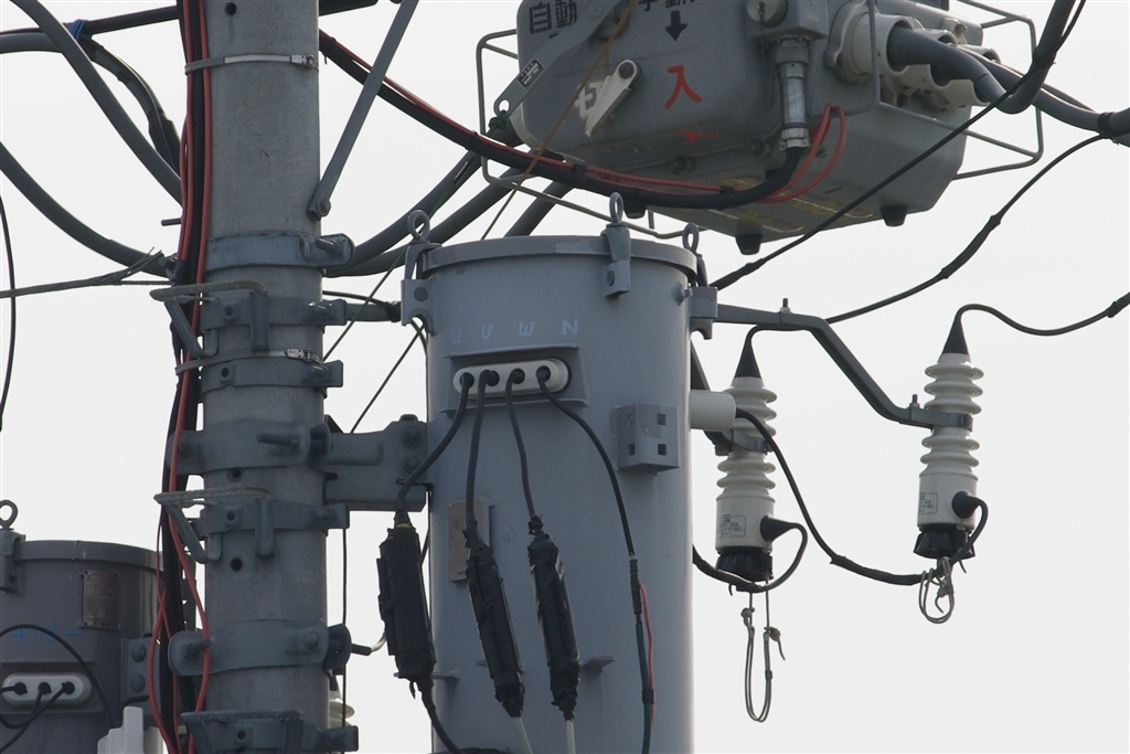 価格.com - 『900mm相当』ペンタックス smc PENTAX-DA★ 200mm F2.8ED [IF] SDM C'mell に恋 ...