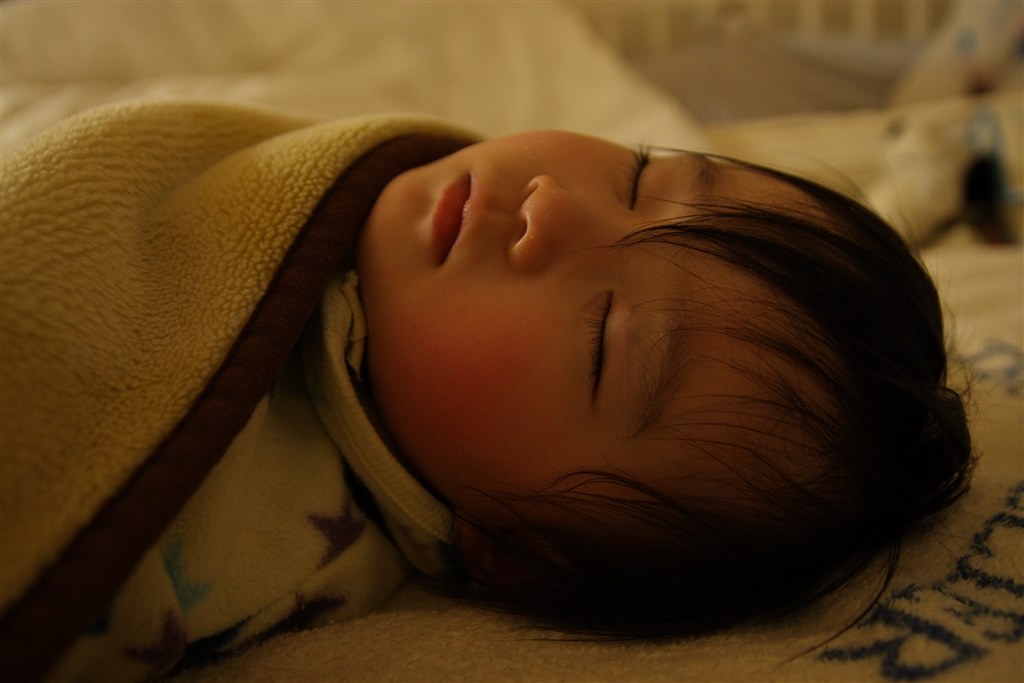 手ぶれ補正』 シグマ 18-50mm F2.8 EX DC MACRO (キヤノン用) の 手ぶれ補正』 シグマ 18-50mm F2.8 EX DC MACRO (キヤノン用) の